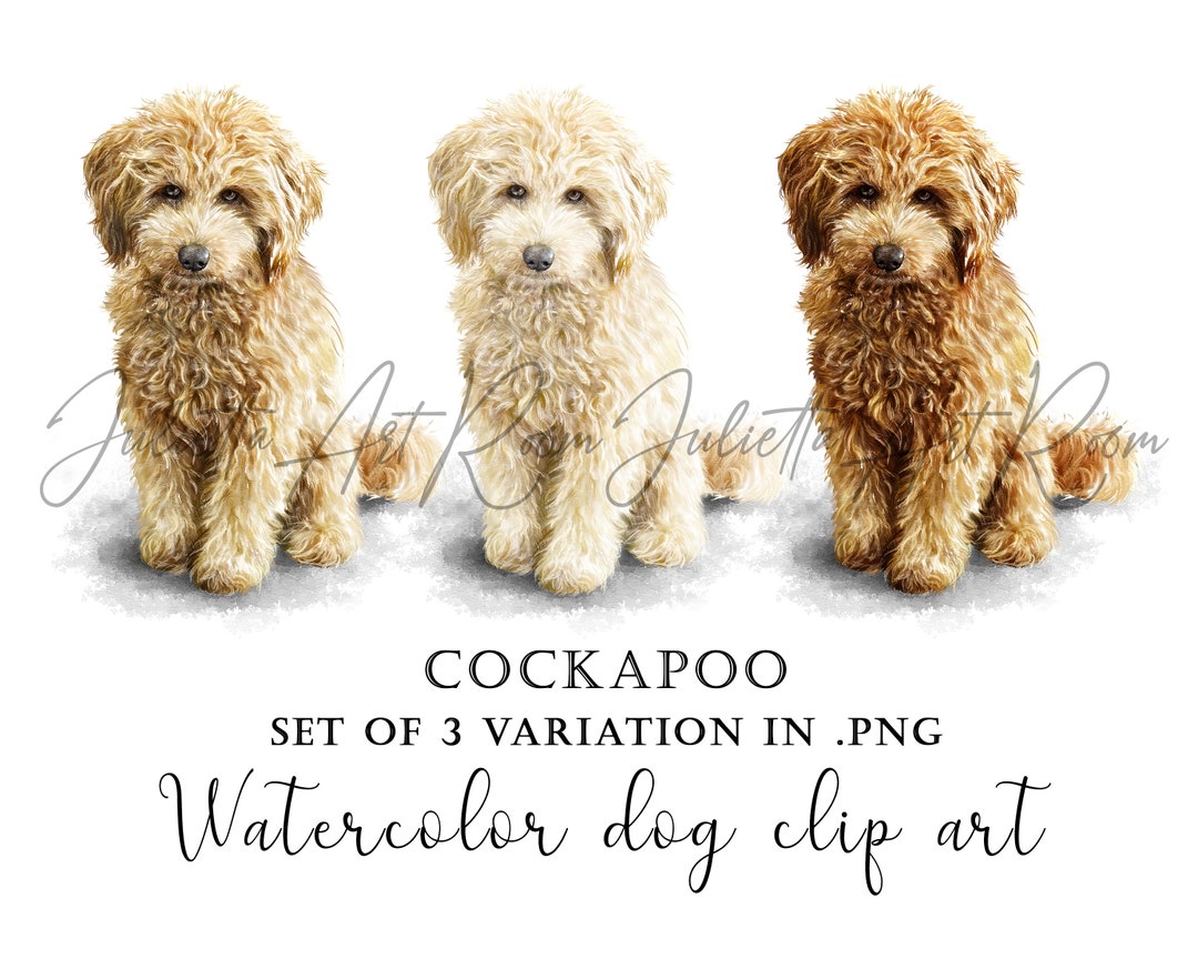 Cockapoo Watercolor Png Clipart - Cockerpoo Digital Portrait ...