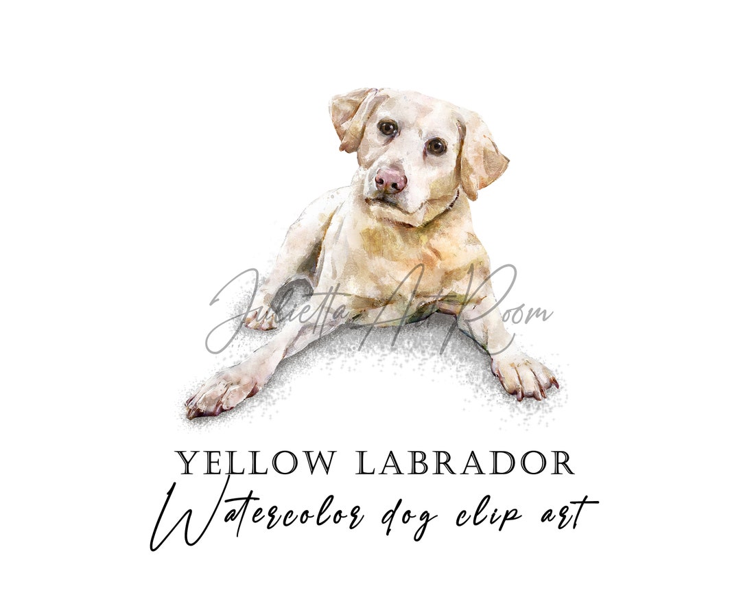Yellow Labrador Watercolor Clipart: DIY Portrait (digital Download) - Etsy