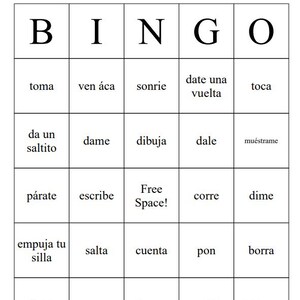 Bingo Vocabulary Targeting Command Words in Spanish - Etsy