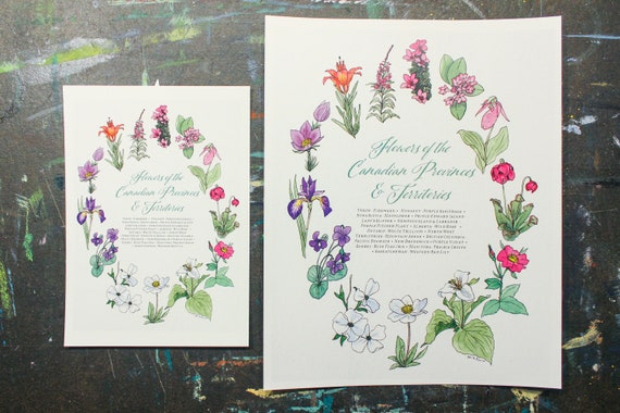 Flowers of the Canadian Provinces and Territories Art Print - Etsy
