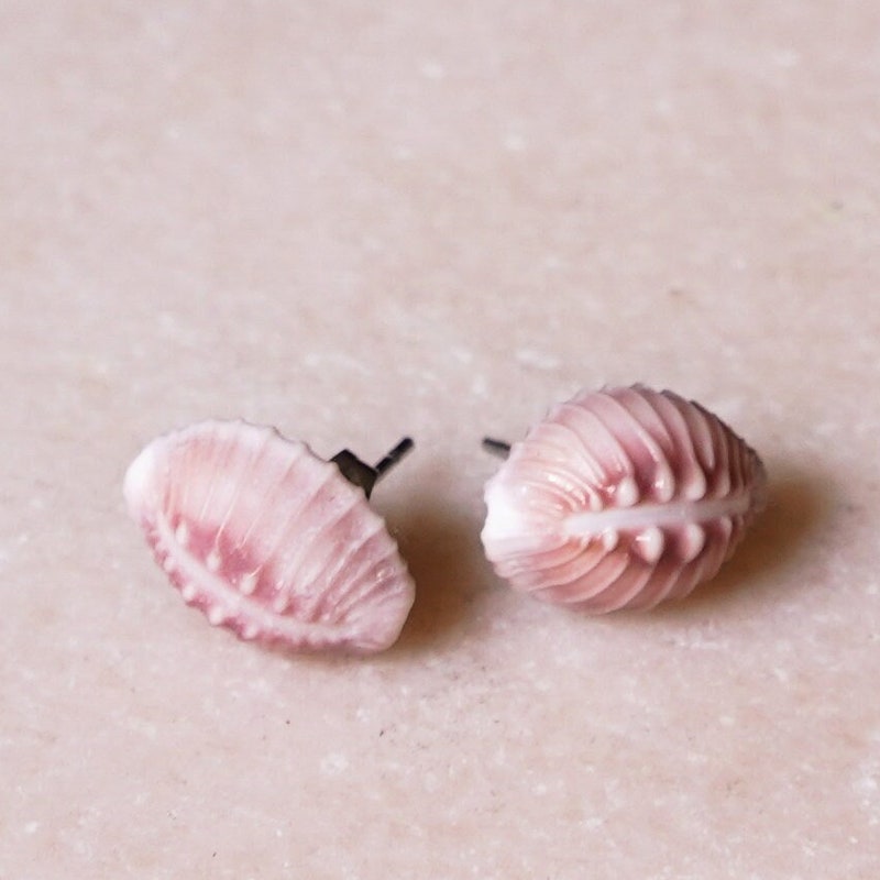 Shell Stud Earrings - Etsy