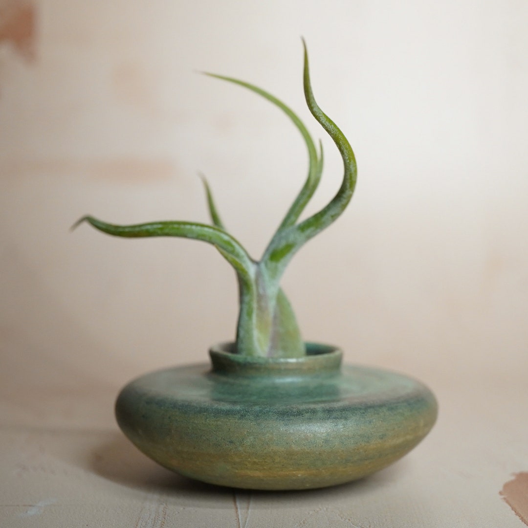 Bud Vase Ceramic Bud Vase Round Ceramic Vase Handmade Ceramics Handmade ...
