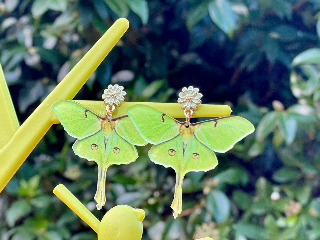 RESIN MOTH EARRINGS Photographic Kawaii Cute Pushback Post Vintage Look ...