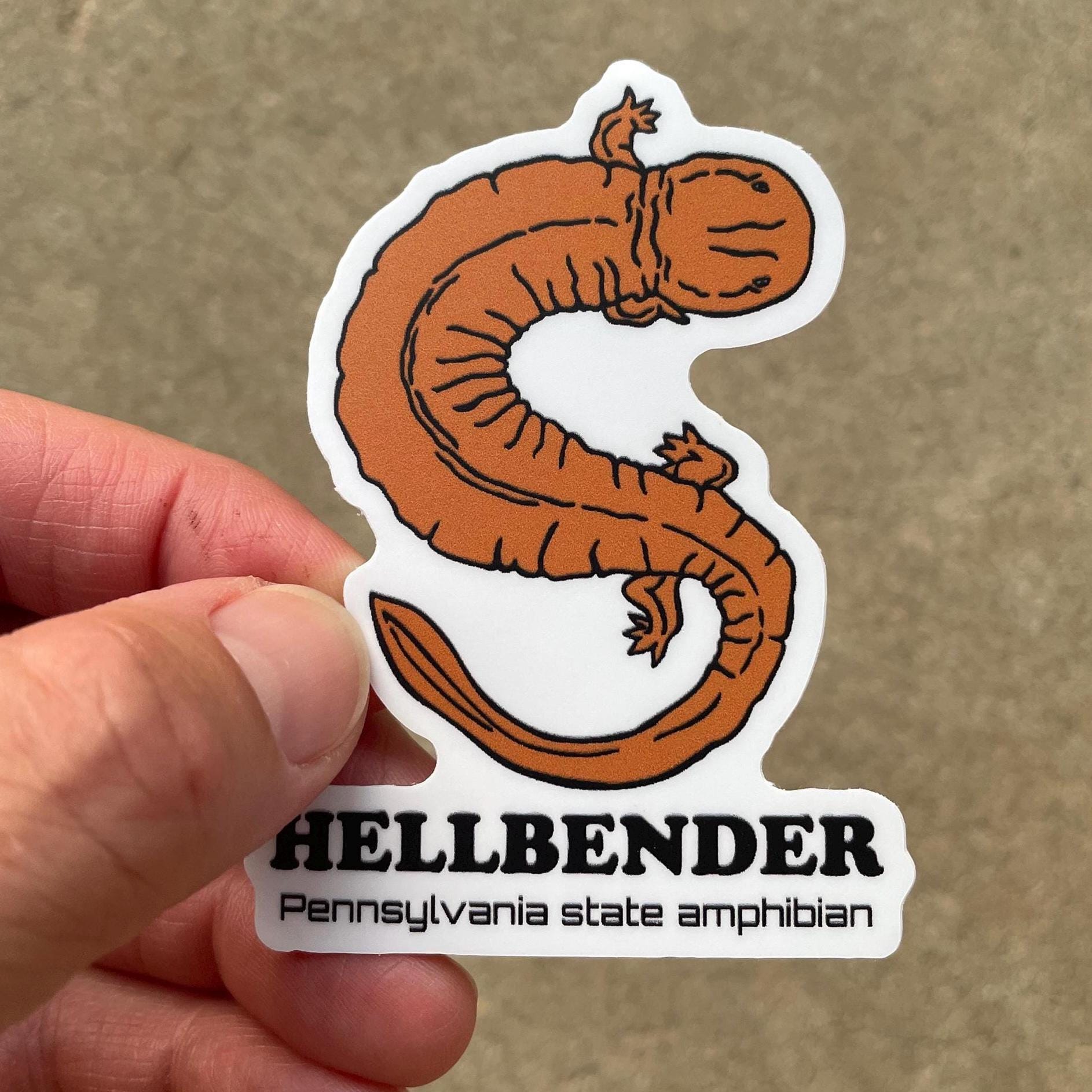 Eastern Hellbender Salamander Vinyl Sticker: Die-cut, Waterproof ...