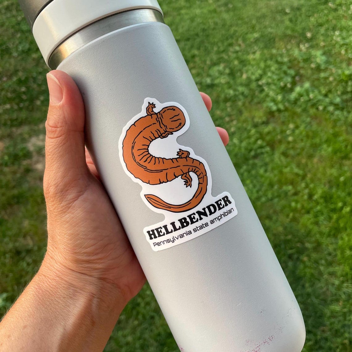 Eastern Hellbender Salamander Vinyl Sticker: Die-cut, Waterproof ...