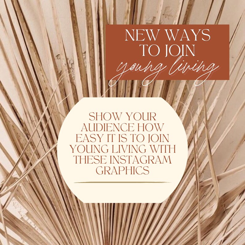 Young Living Signup Instagram Slides, Social Media Graphics (digital ...