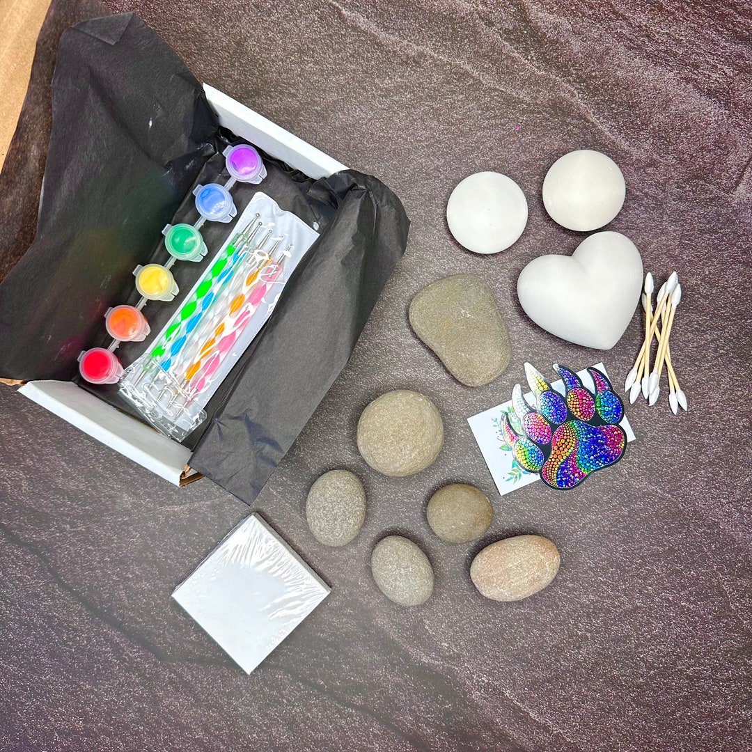 Diy Starter Rock Kit XL Craft Kit Rock Painting Kit Dot Art Kit ...