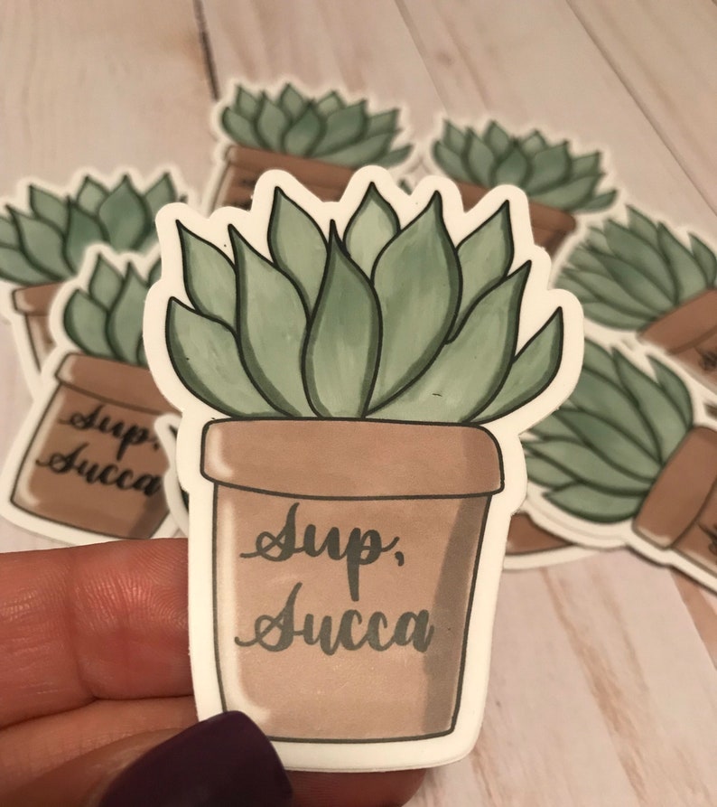 Sup Succa, Succulent, Cactus Sticker, Succulent Sticker, Water Bottle ...