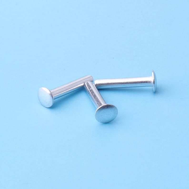 Solid Rivets 20pcs Silver Solid Rivets Flat Head Rivets 176/ 136 Mm Cd8 ...
