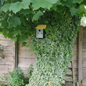 Eco Friendly Customisable Bird Box for Gardens, Balconies, Walls and ...