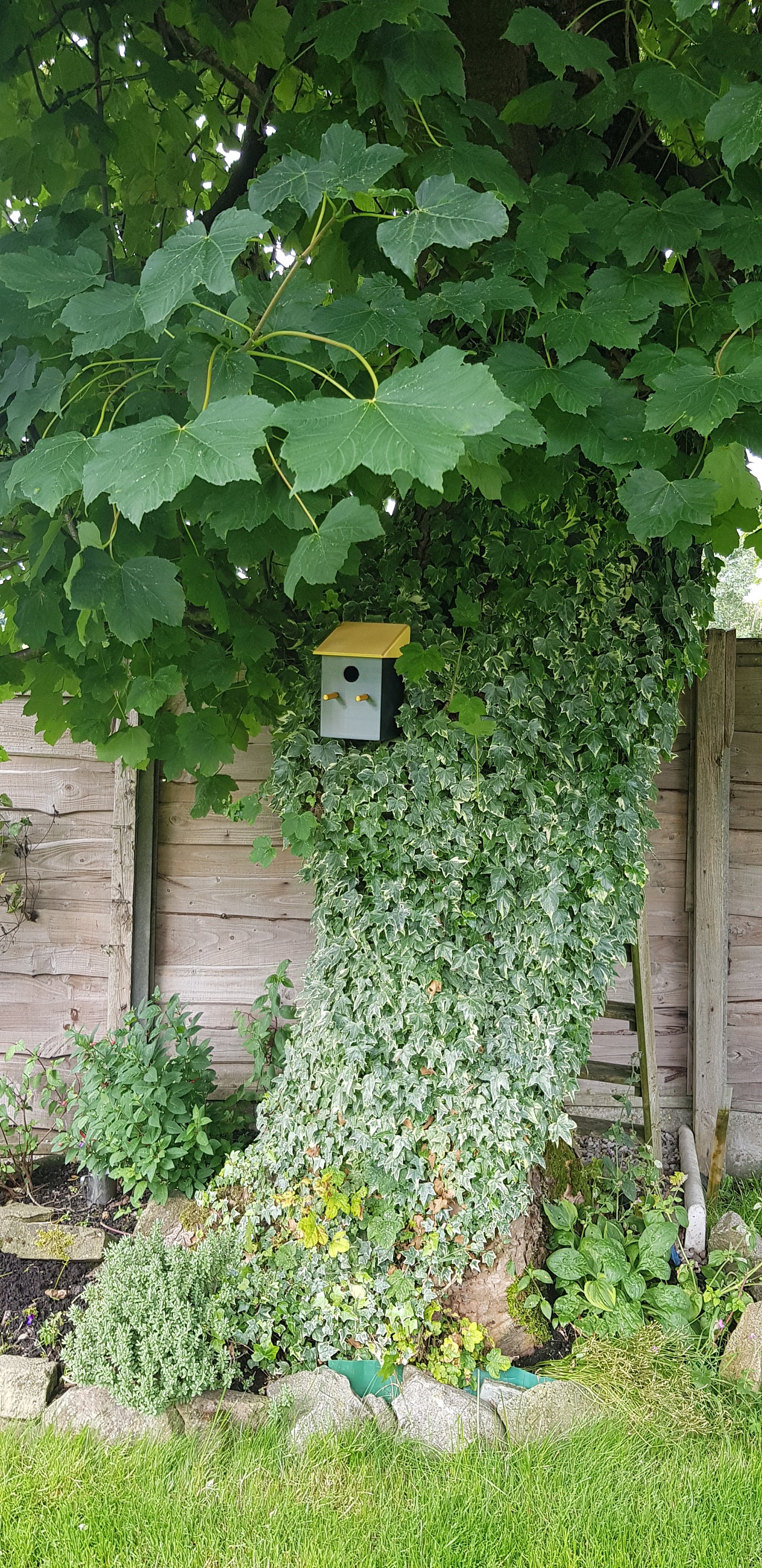 Eco Friendly Customisable Bird Box for Gardens Balconies - Etsy UK