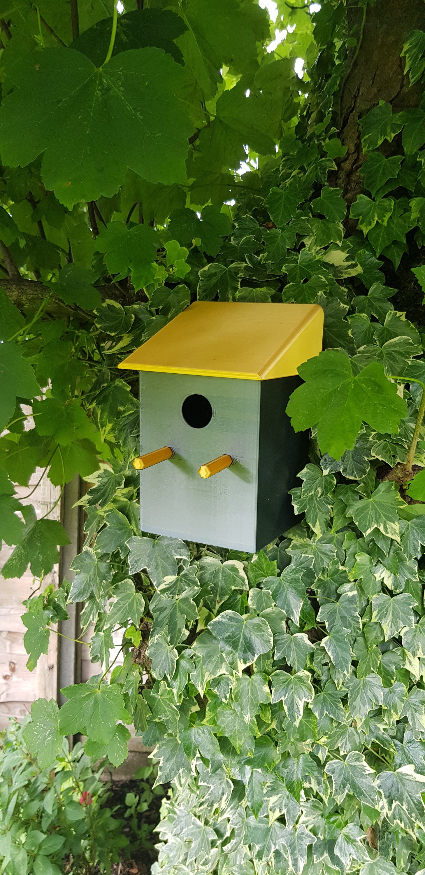 Eco Friendly Customisable Bird Box for Gardens Balconies - Etsy UK