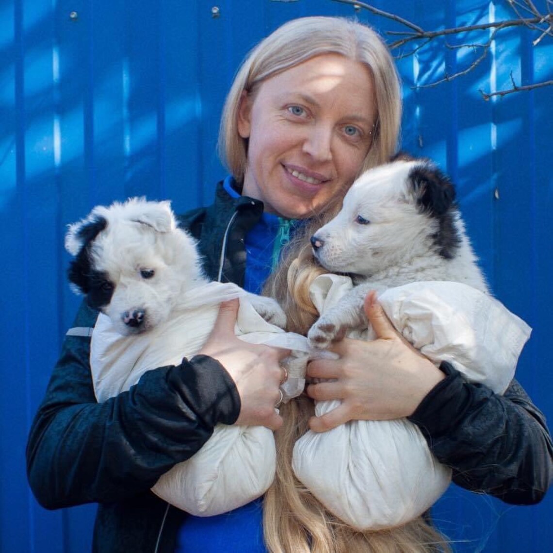 Ukraine Pets and Wild Animals of Ukraine - Etsy