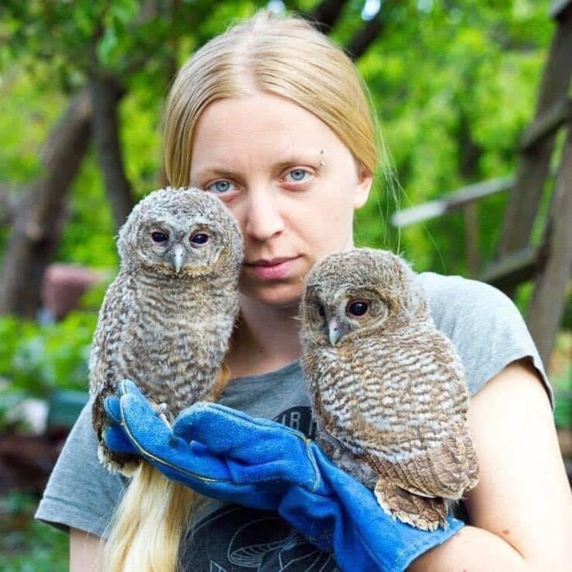 Ukraine Pets and Wild Animals of Ukraine - Etsy