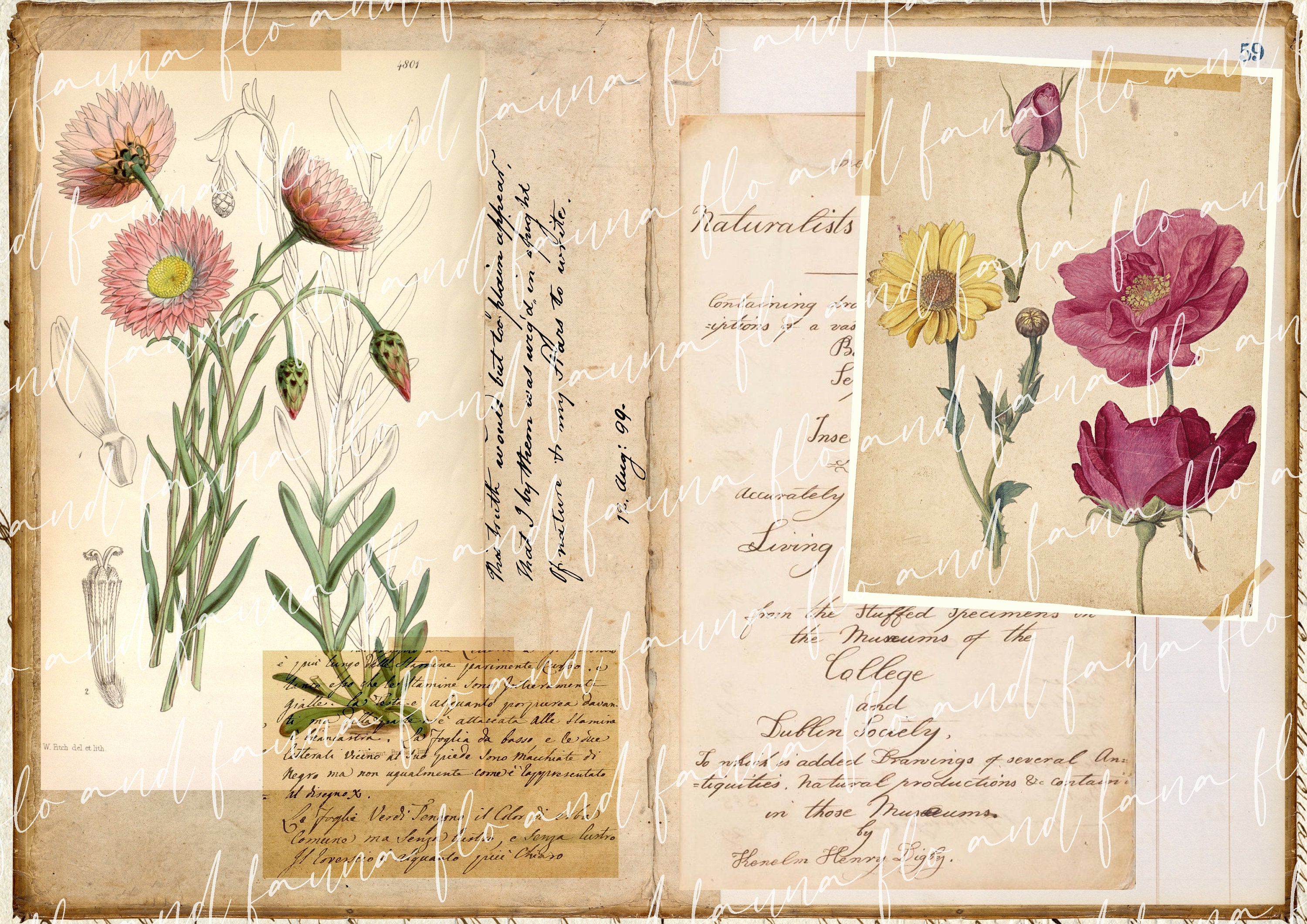 Botanical Collage Pages & Journal Cards ..vintage Digital Junk Journal ...