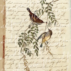 Pretty Birds...vintage Digital Junk Journal Kit, Printable Papers/tags ...