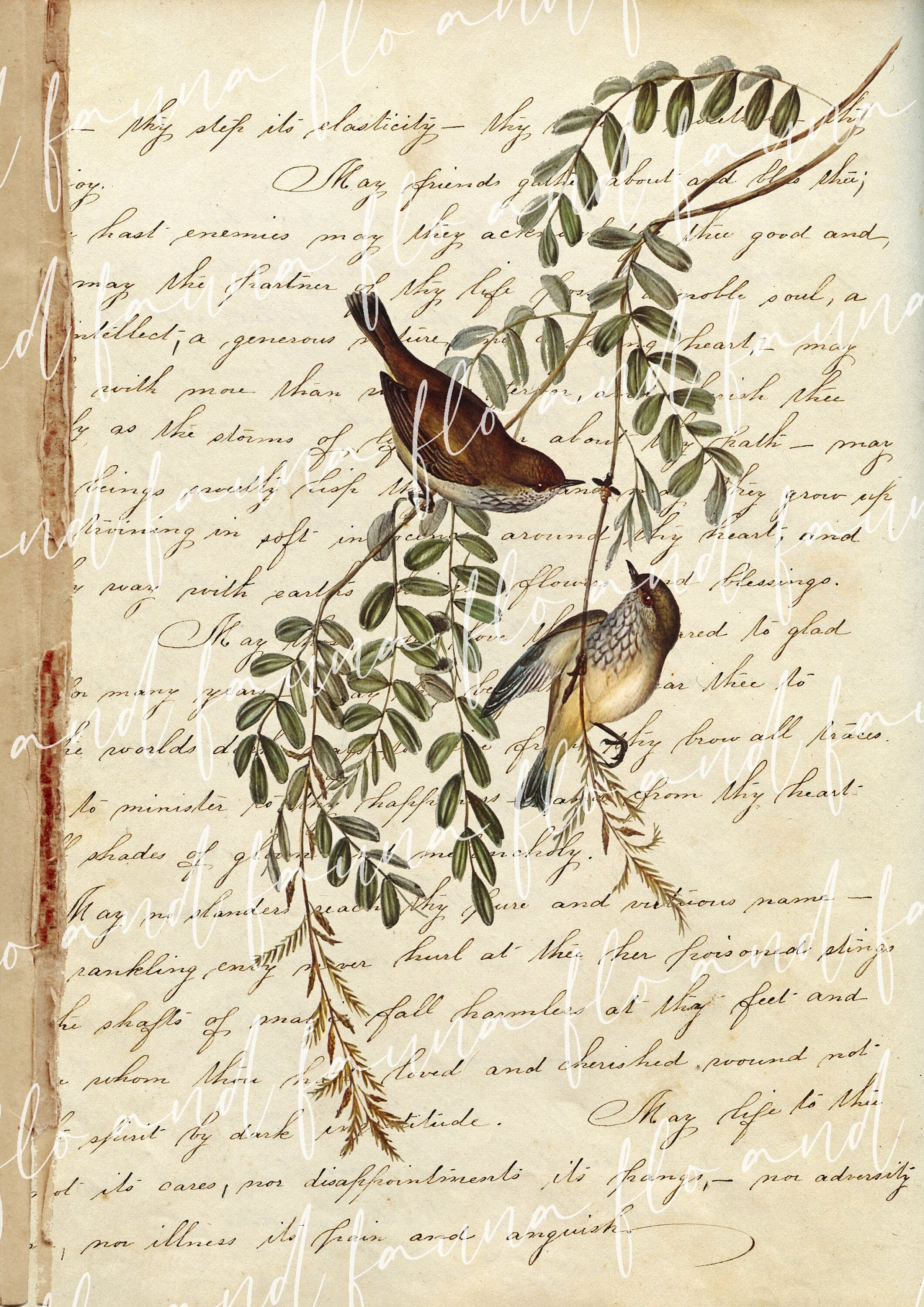 Pretty Birds...vintage Digital Junk Journal Kit, Printable Papers/tags ...