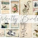 Pretty Birds...vintage Digital Junk Journal Kit, Printable Papers/tags ...