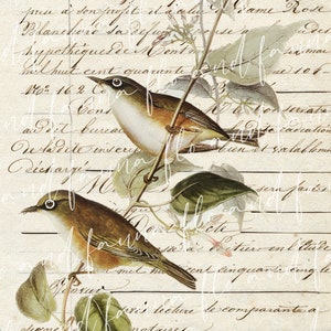 Pretty Birds...vintage Digital Junk Journal Kit, Printable Papers/tags ...