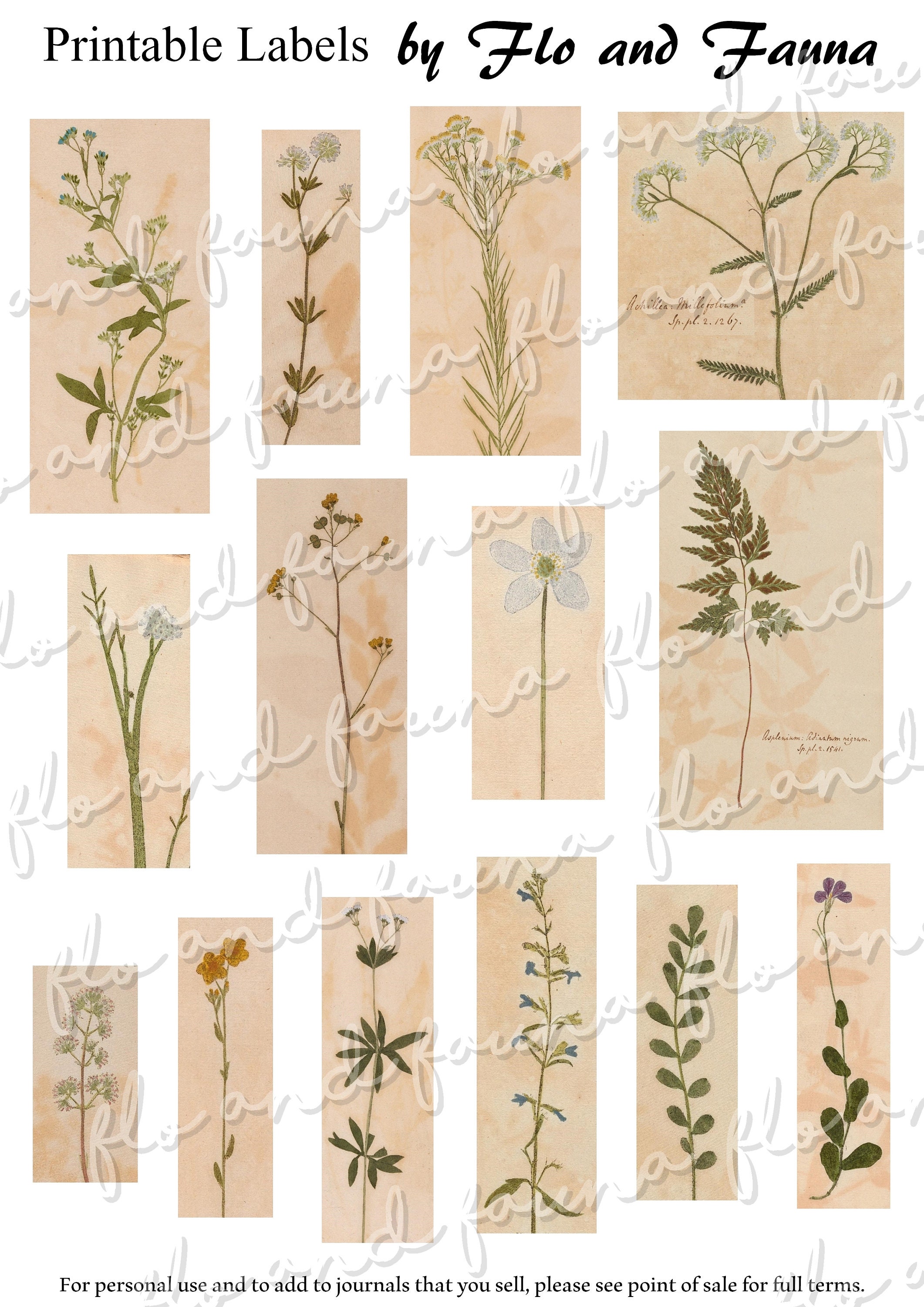 Wildflower Vintage Labels Junk Journal Printable Collection - Etsy