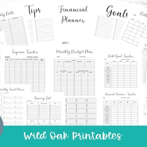 Financial Planner Bundle Printable, Budget Planner, Financial Digital ...