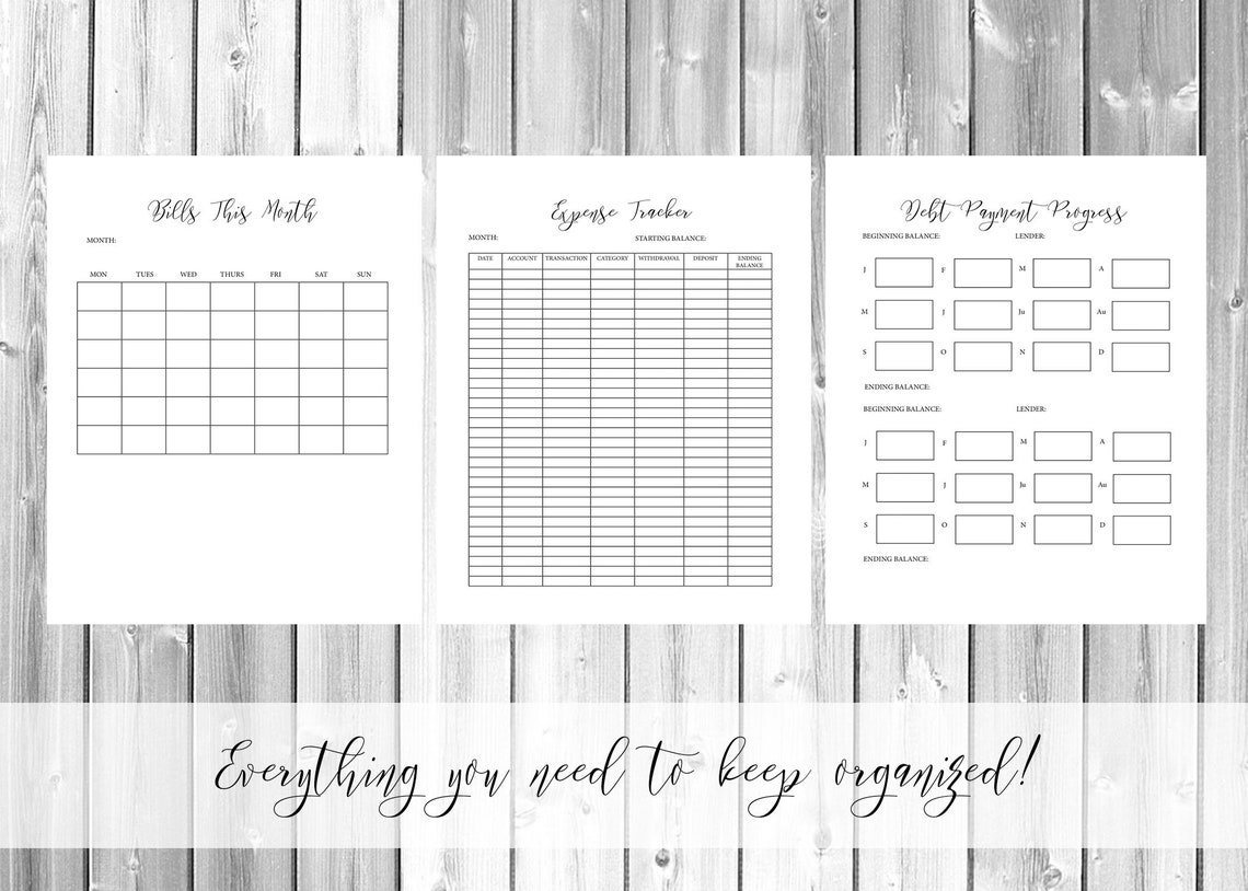 Financial Planner Bundle Printable, Budget Planner, Financial Digital ...