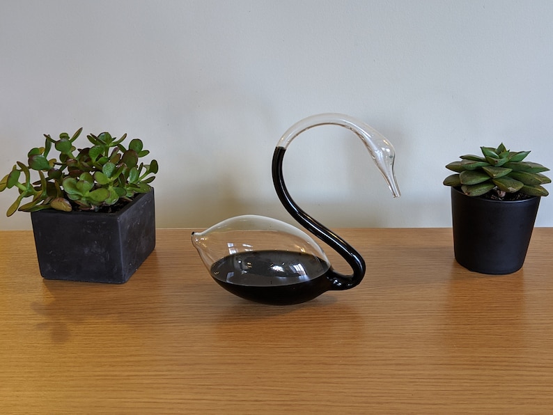 Unique Black Swan Storm Glass Hand Blown Glass Weather - Etsy