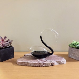 Hand Blown Black Swan Storm Glass – Weather Predictor Decor - Etsy