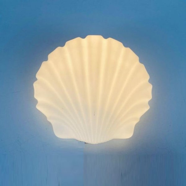Shell Sconce - Etsy