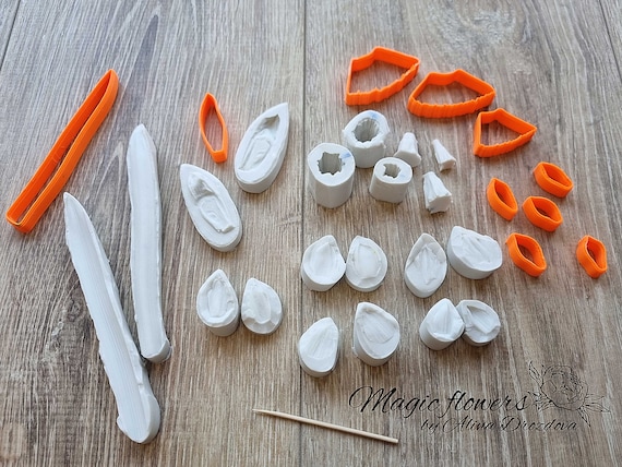 Dwarf Daffodil Silicone Veiner and Plastic Cutter Set - Etsy