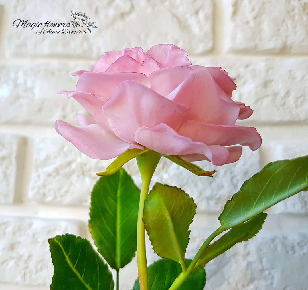 Pink Garden Rose Artificial Flower Out of Cold Porcelain - Etsy