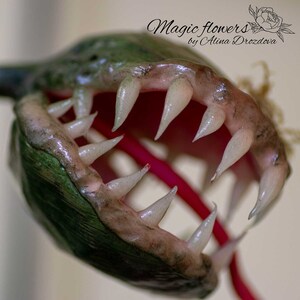 Carnivorous Plant With Teeth - Artificial Plant Out of Cold Porcelain ...