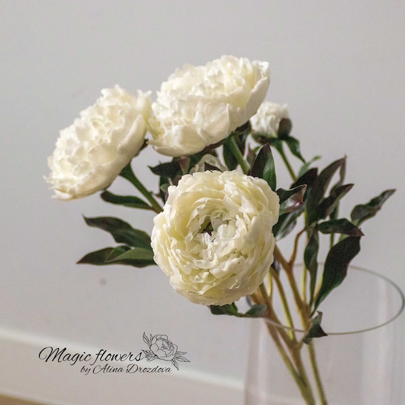 Paloma calidad entregar peonias en porcelana fria Chillido natural Aptitud