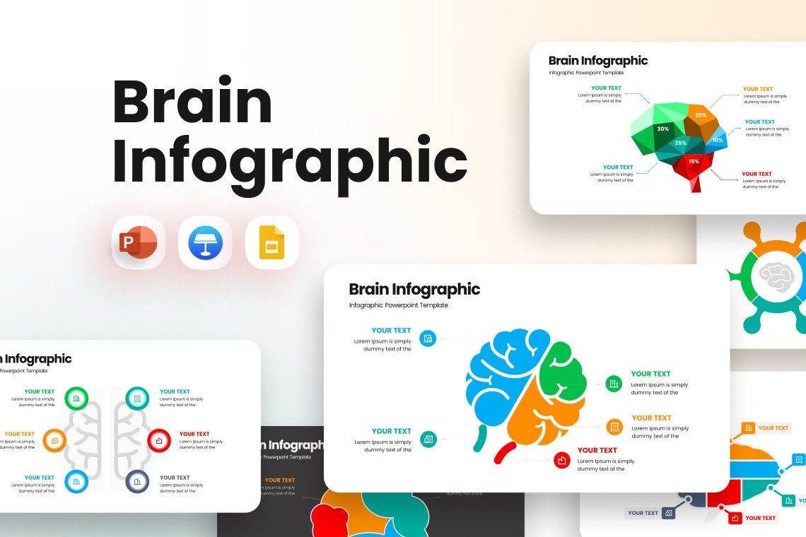 Professional Brain Infographic Presentation Template Neuroscience ...