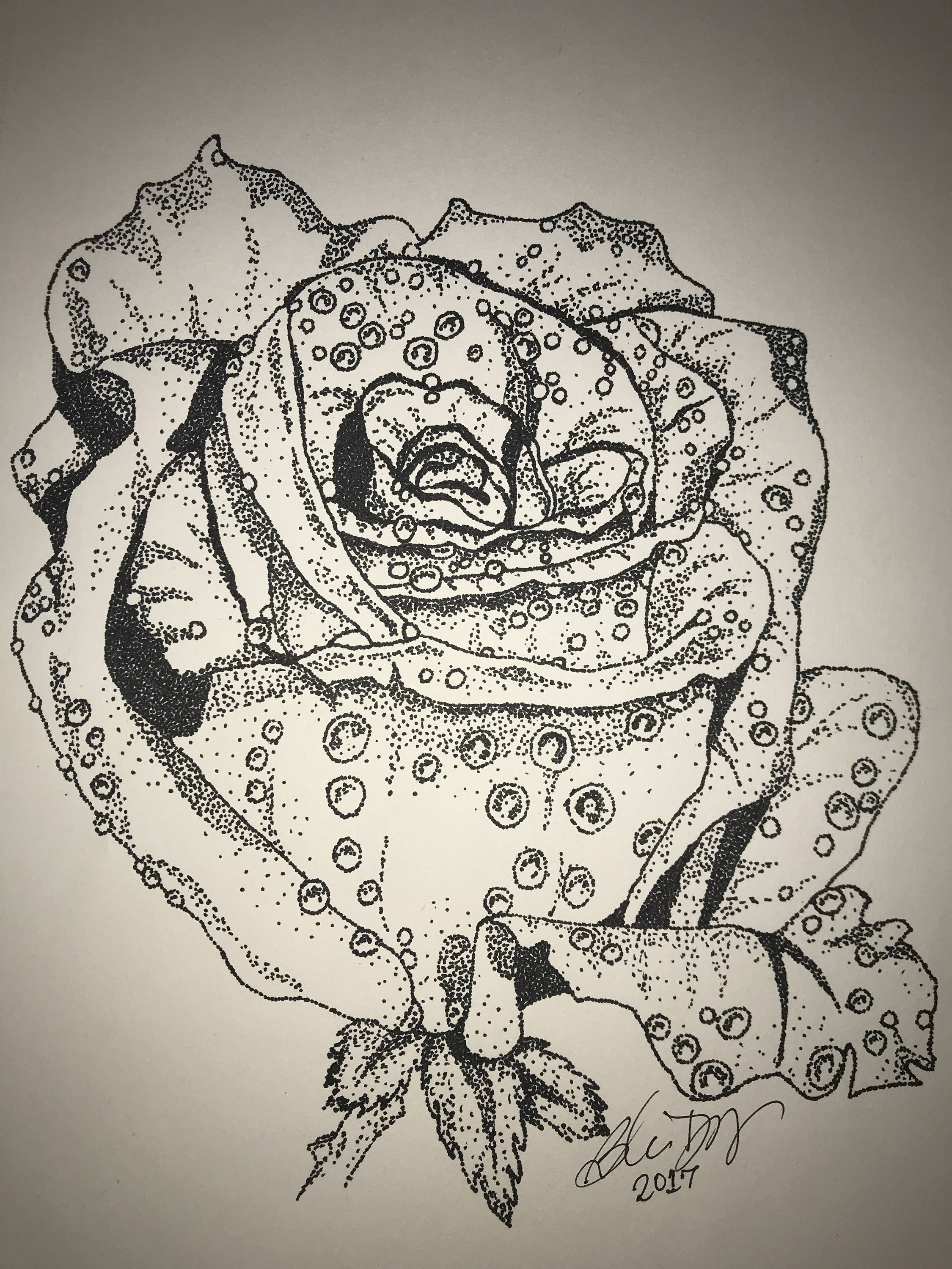 Pointillism Wet Rose - Etsy