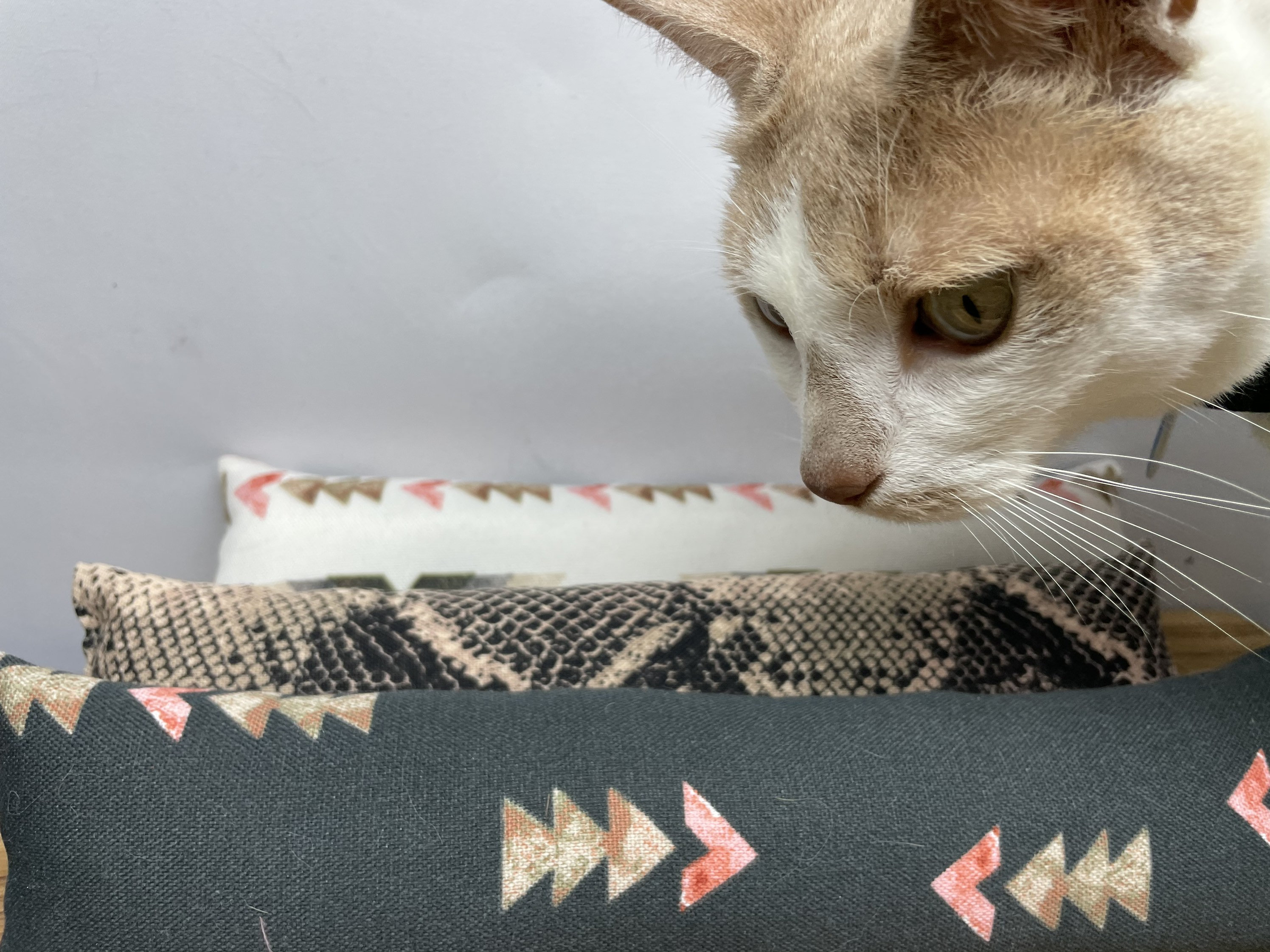 Kicking Stick Handmade Cat Kicking Stick Kicker Stick Heavy | Etsy