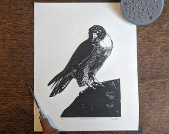 Falcon Print | Etsy