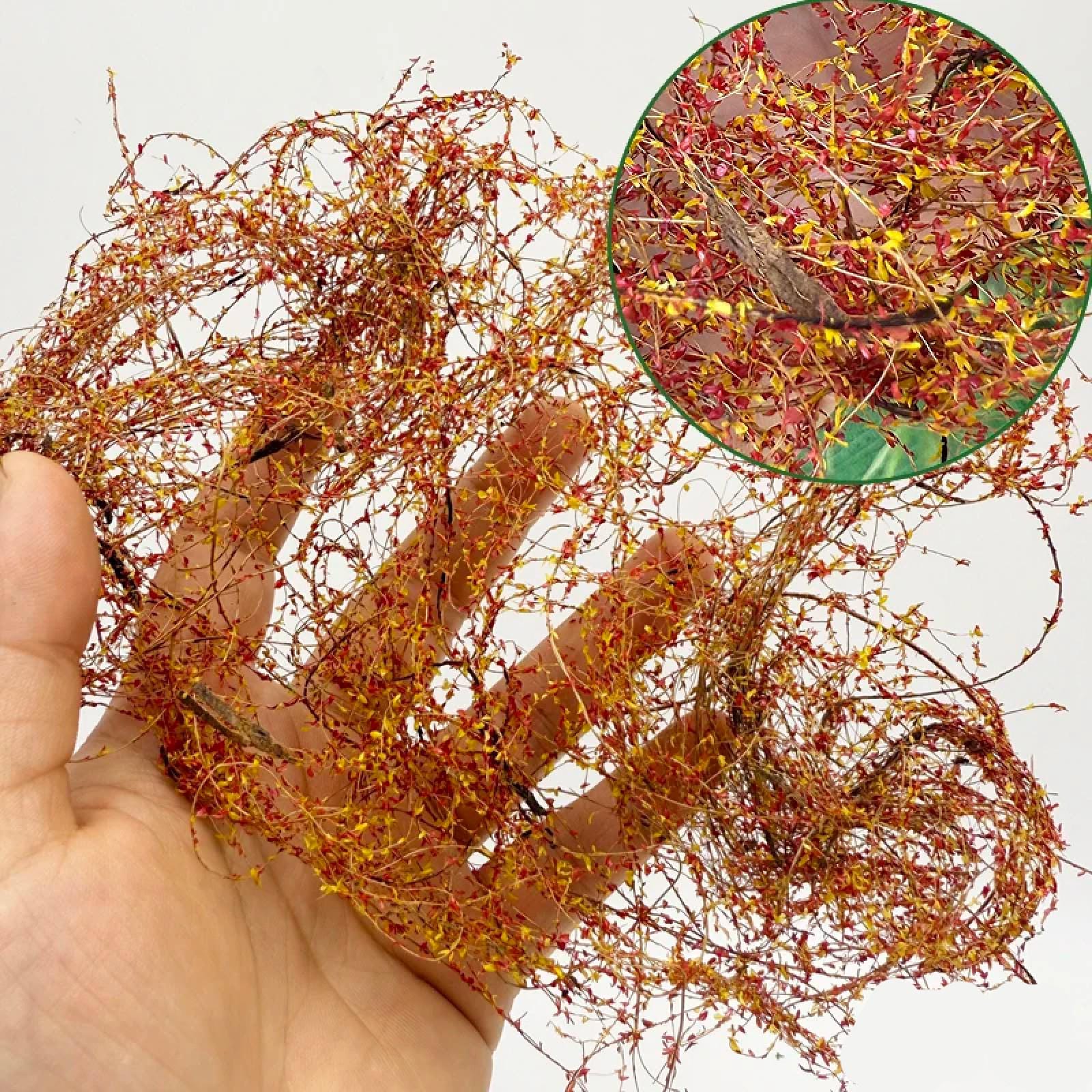 Miniature Vine Model: Diorama Terrain, Train Railway Scenery - Etsy