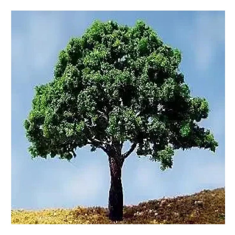 Miniature Model Trees: HO OO Scale Diorama Scenery - Etsy