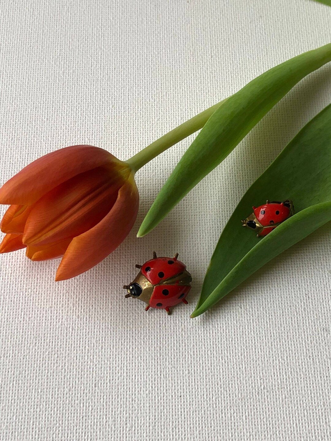 Vintage Miniature Ladybug Brooch and Only One Clip on Ladybird German ...
