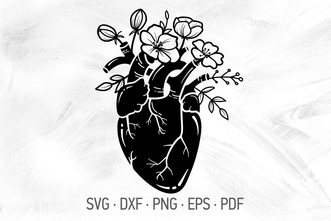 Anatomical Heart SVG Cricut Cut Files Real Heart & - Etsy