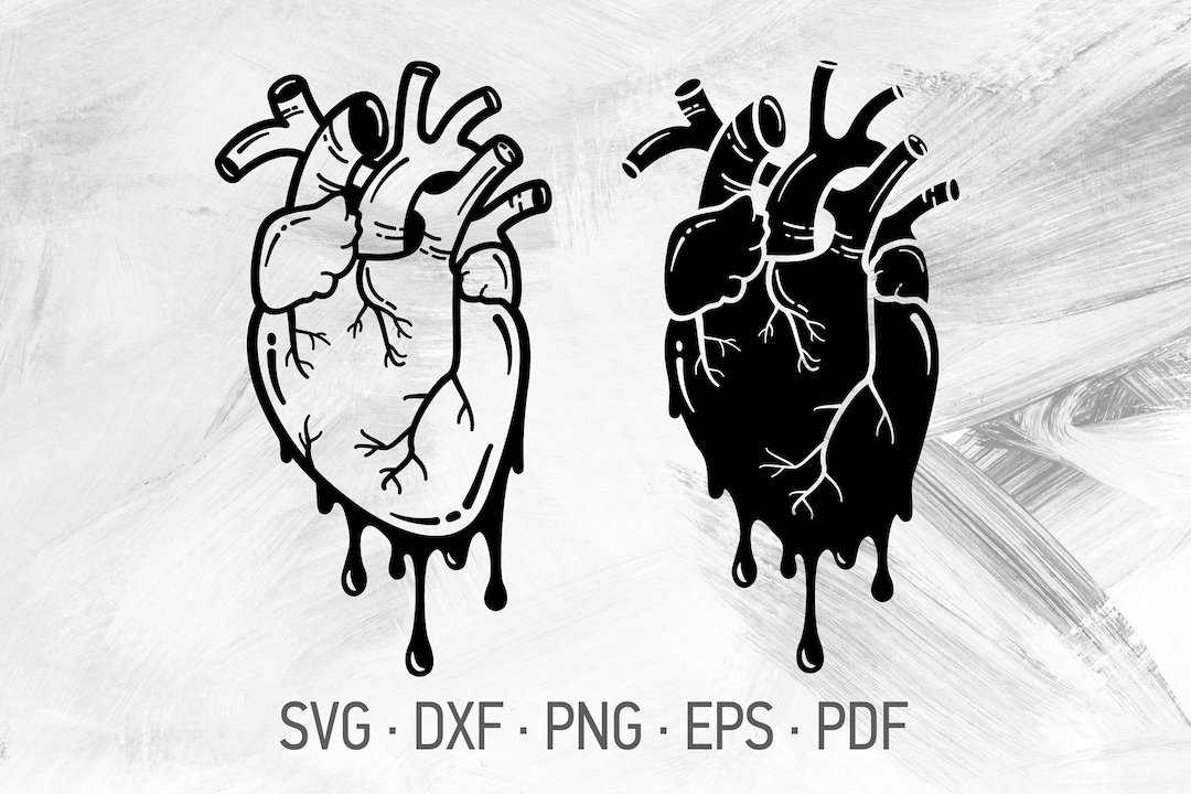 Dripping Anatomical Heart SVG Bundle Cricut Cut Files, Real Human Heart ...