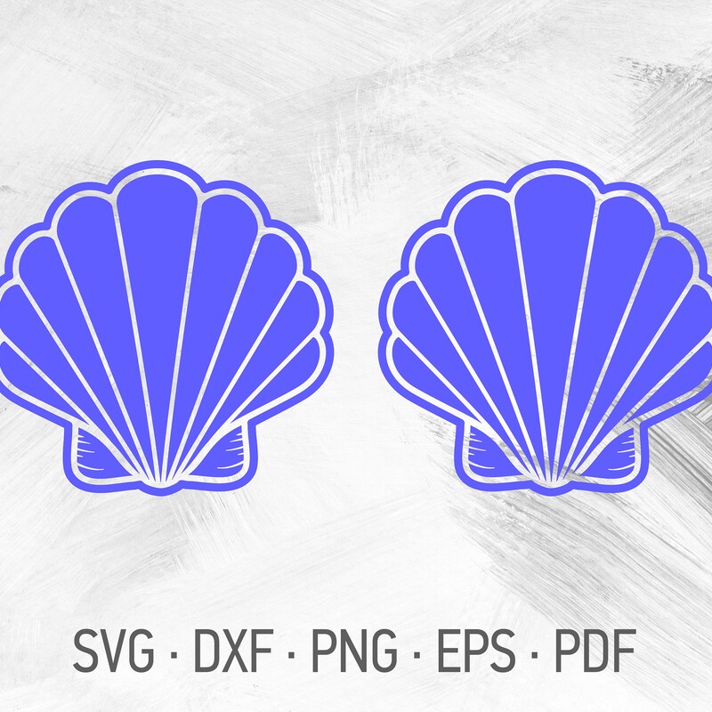 Seashells Svg - Etsy