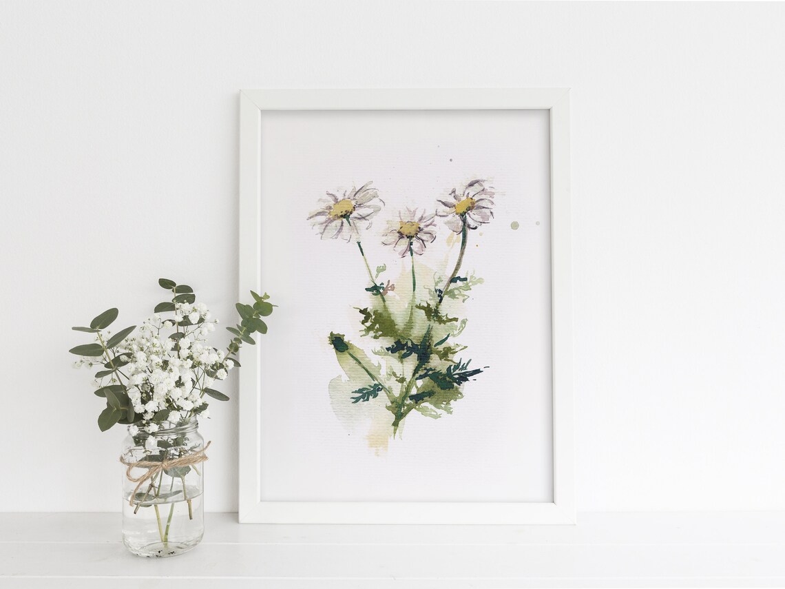 Watercolor Daisy Flower Art Print - Botanical Illustration - Etsy