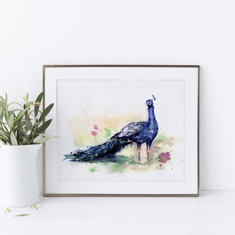Pavo real - Etsy España