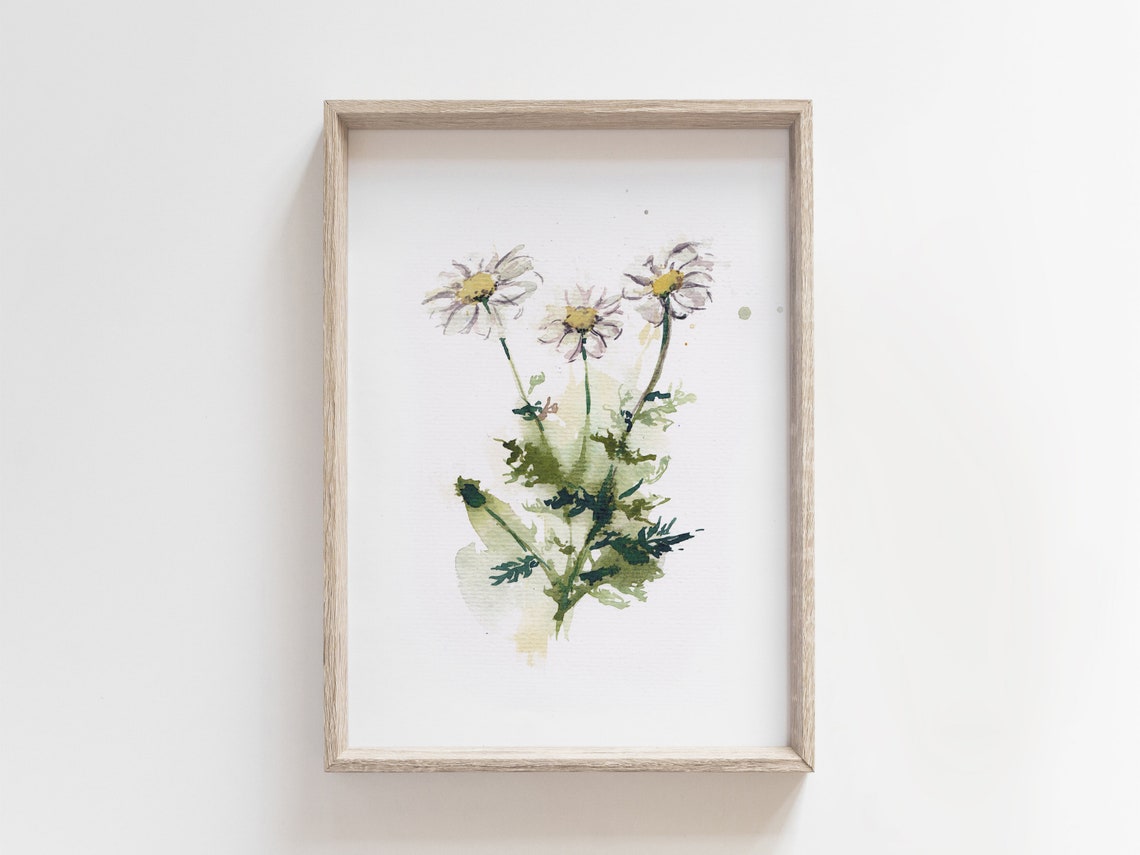 Watercolor Daisy Flower Art Print - Botanical Illustration - Etsy