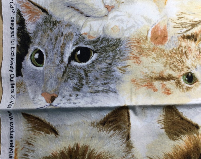 Wheres the Cat Fabric Designed for Exclusively Quilters one Yard - Etsy