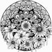 Elephant Animal Coloring Pages Coloring Printable Coloring Book Jungle ...