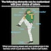 Baseball Pitcher Word Art Print: Customized With Name & Number in Any ...