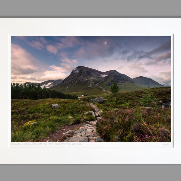 West Highland - Etsy